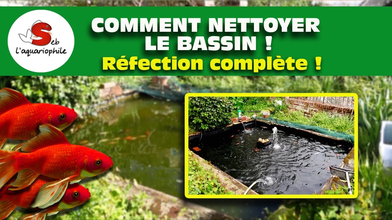 Comment nettoyer un bassin à poisson ! Bassin de jardin - YouTube