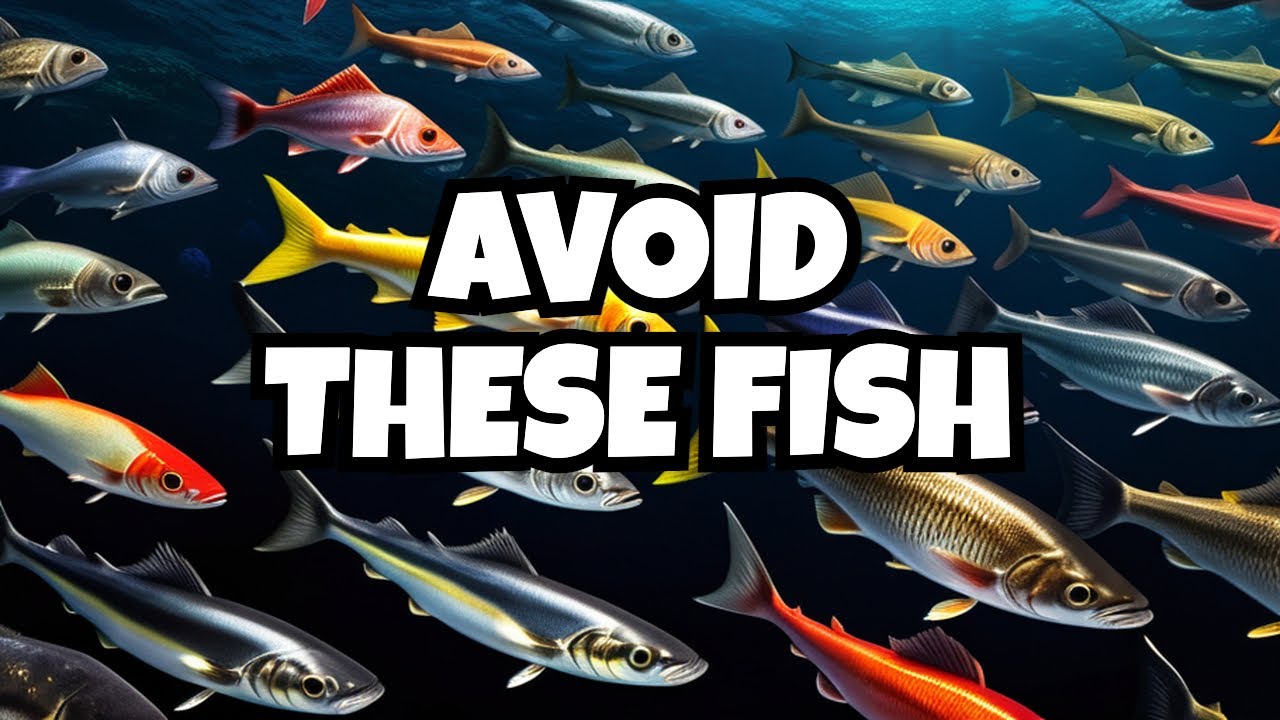 Beware of these lethal fish.be amazed - YouTube