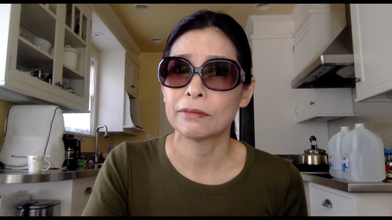 Stray Cat Saga Continued.... - YouTube