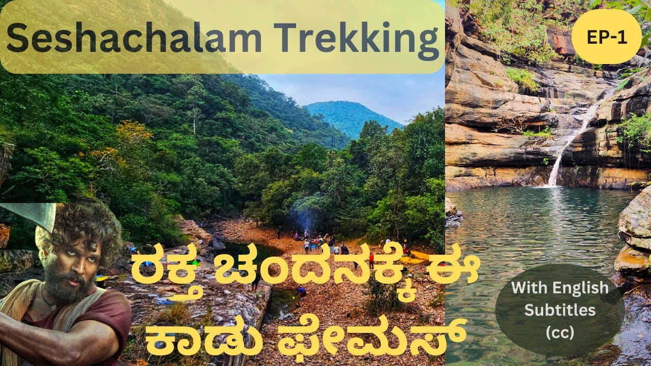 ರಕ್ತ ಚಂದನದ ಕಾಡಿನಲ್ಲಿ ನಮ್ಮ ಟ್ರೆಕಿಂಗ್ | Seshachalam Forest Trek | Unseen ...