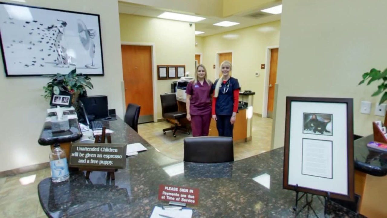 Virtual Tour of Veterinary Emergency Referral Center - Pensacola, FL ...