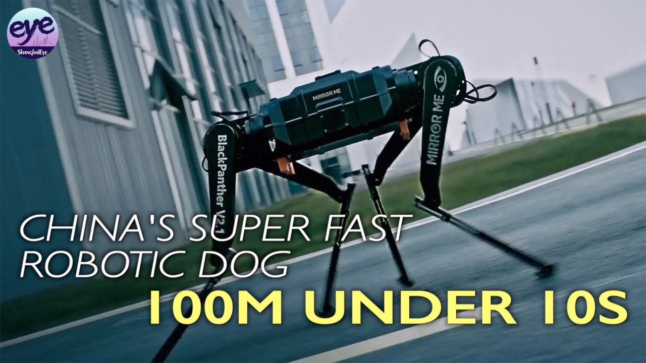 New, super-fast robot dog in China can run 100 meters in under 10 seconds. - YouTube