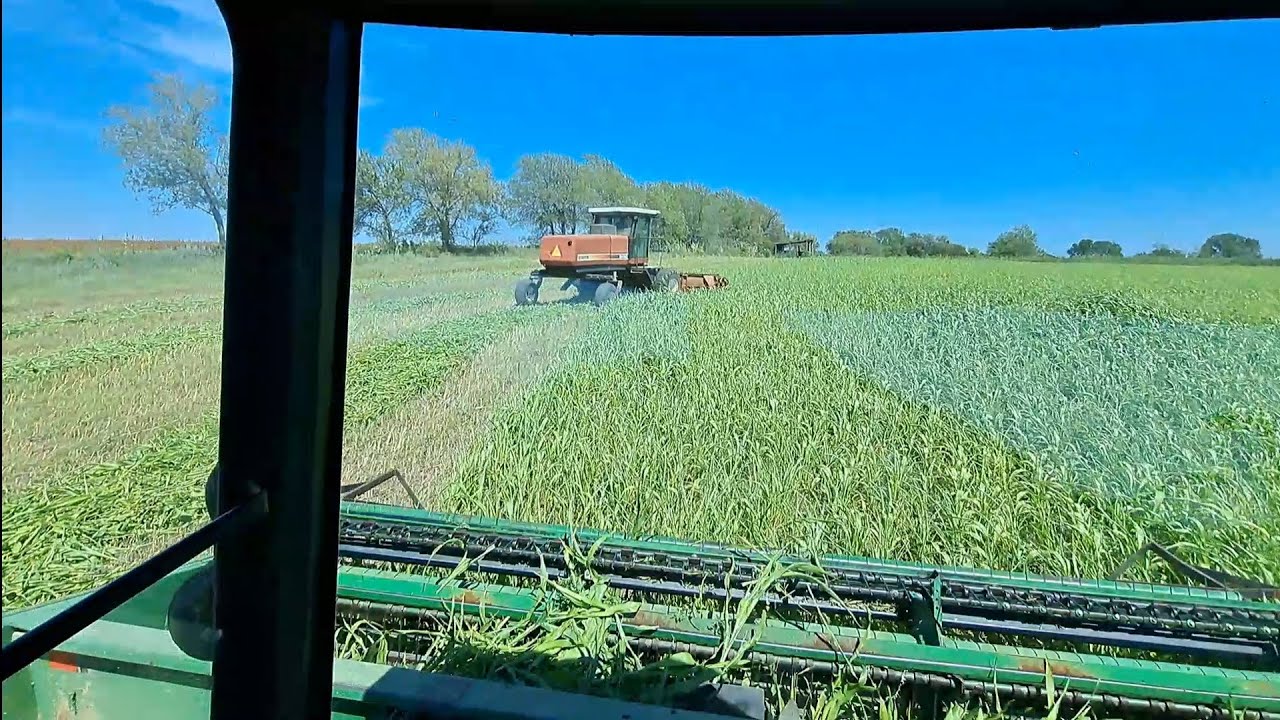3830 jd swather vs 8450 Heston. - YouTube