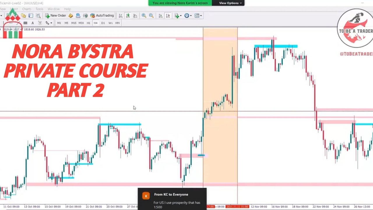 Nora Bystra Private Course Webinar part 2 || supply and demand strategy ...
