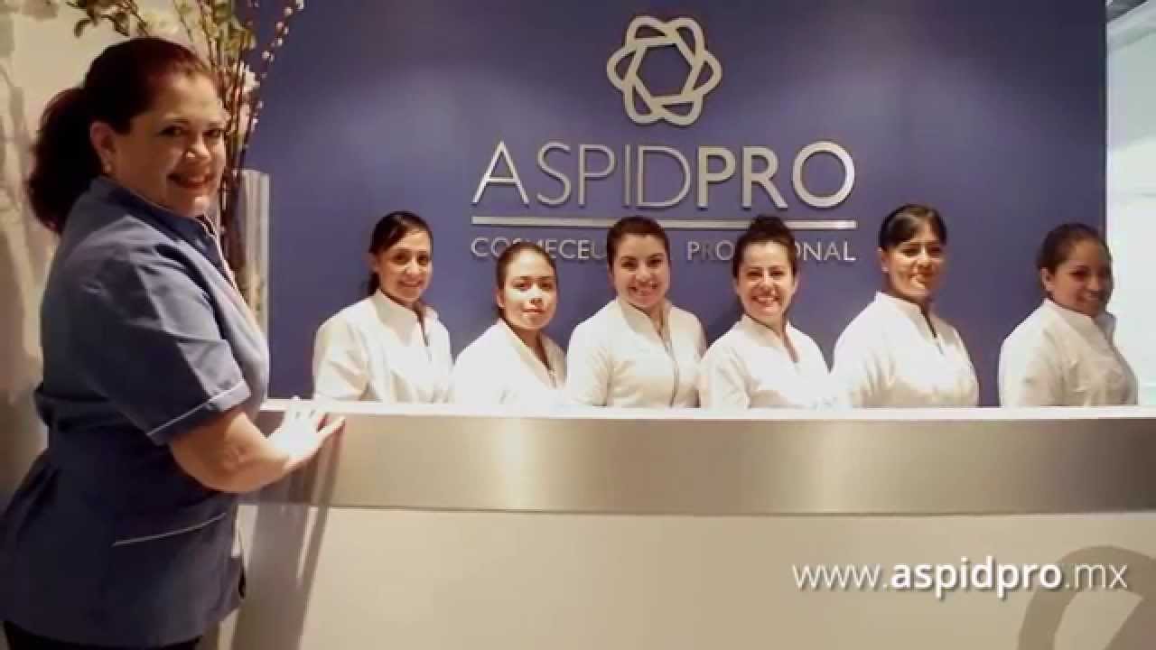 Cursos y Diplomados AspidPro - YouTube