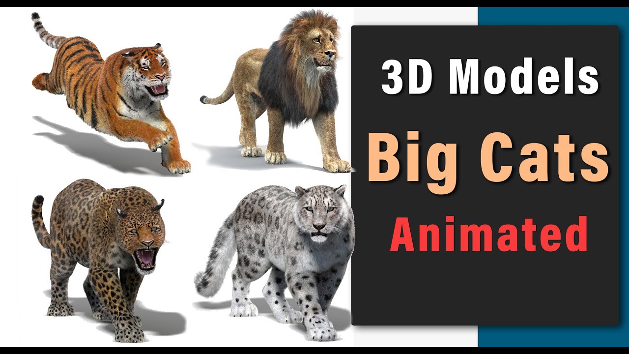 Animated Furry Big Cats 3d model for Download - YouTube