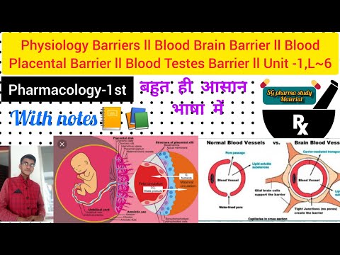 Blood Brain Barrier(BBB) ll Blood - Placental Barrier(BPB) ll Teratogenicity ll ( Hindi )