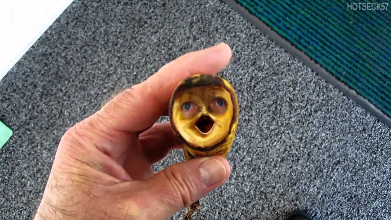 Funny silly burping half rotten annoying banana - YouTube