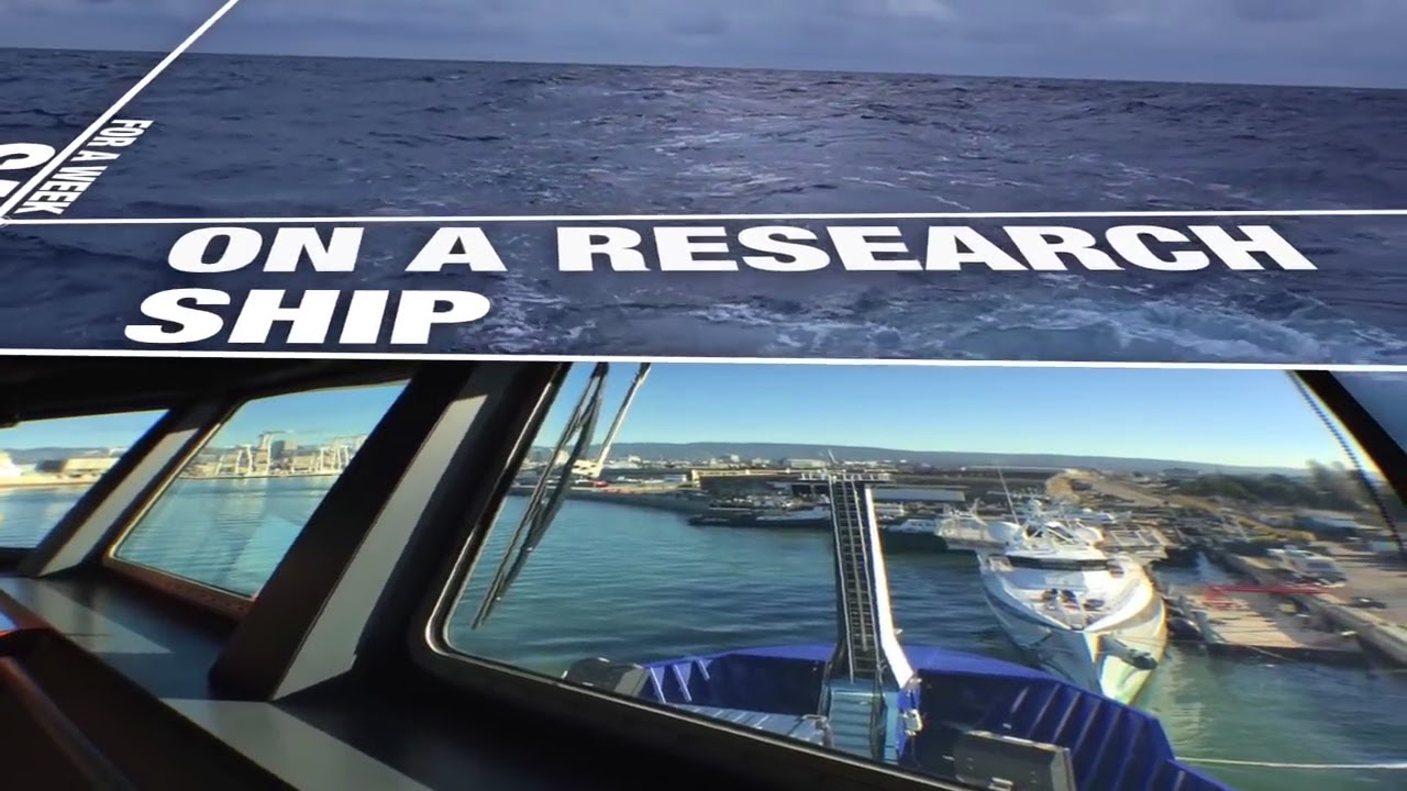 STEMSEAS Trailer - YouTube