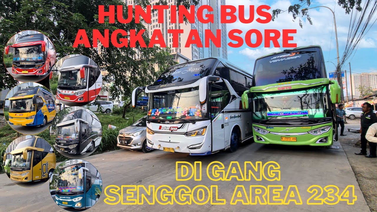 HUNTING BUS ANGKATAN SORE AREA 234 CIKARANG, DI GANG SENGGOL #busmania ...
