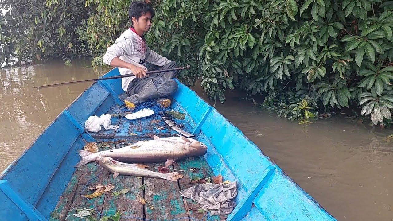 TAJUR IKAN DAN JEBAKAN IKAN - YouTube