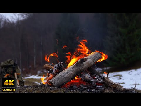 Karlı Tepede Kamp Ateşi 4K UltraHD | 4 Saat Uzunluğunda Keyifli Bir Kamp Ateşi Deneyimi