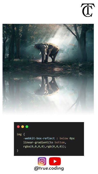 Image Reflection | Image Reflection Using CSS. | true.coding | #html #css #new #coding # ...