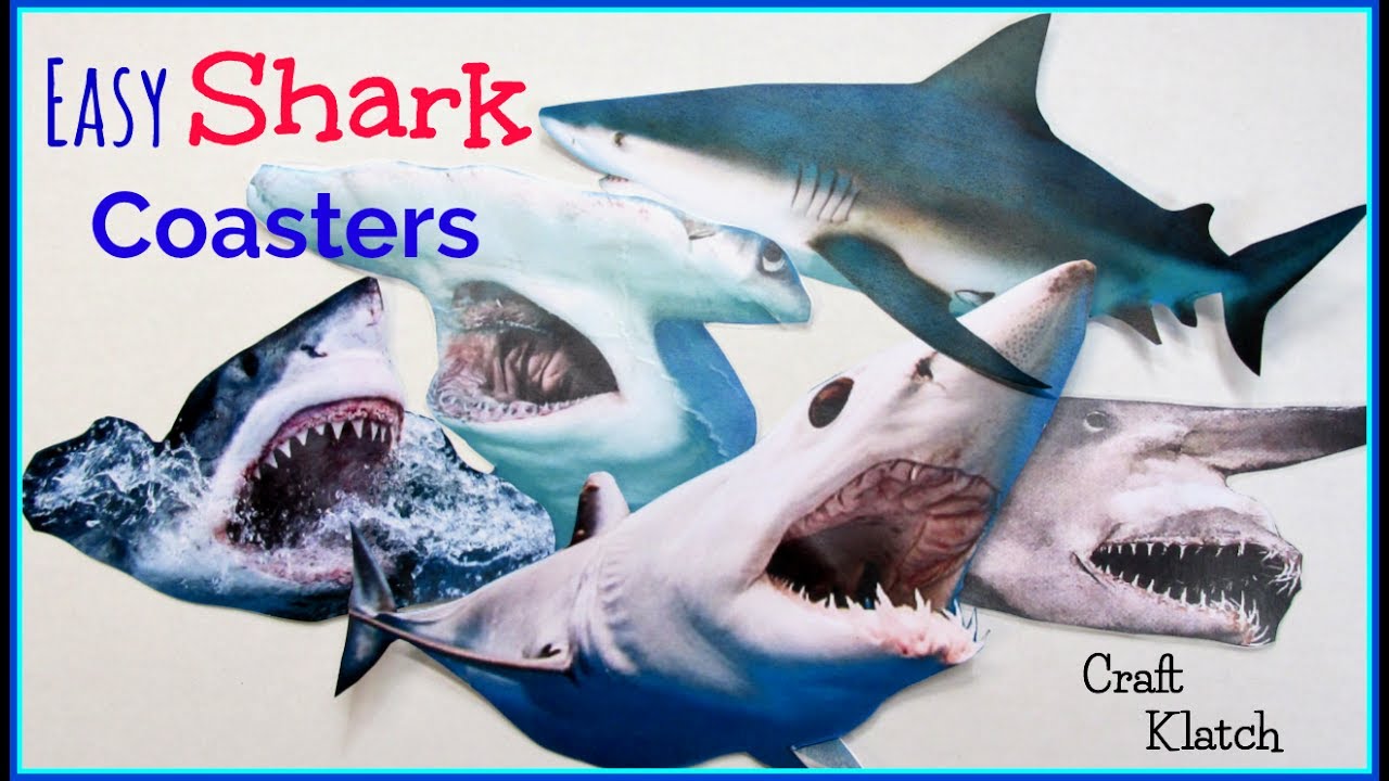 Easy Shark Trivia Coasters for Shark Week! ~ Another Coaster Friday ...