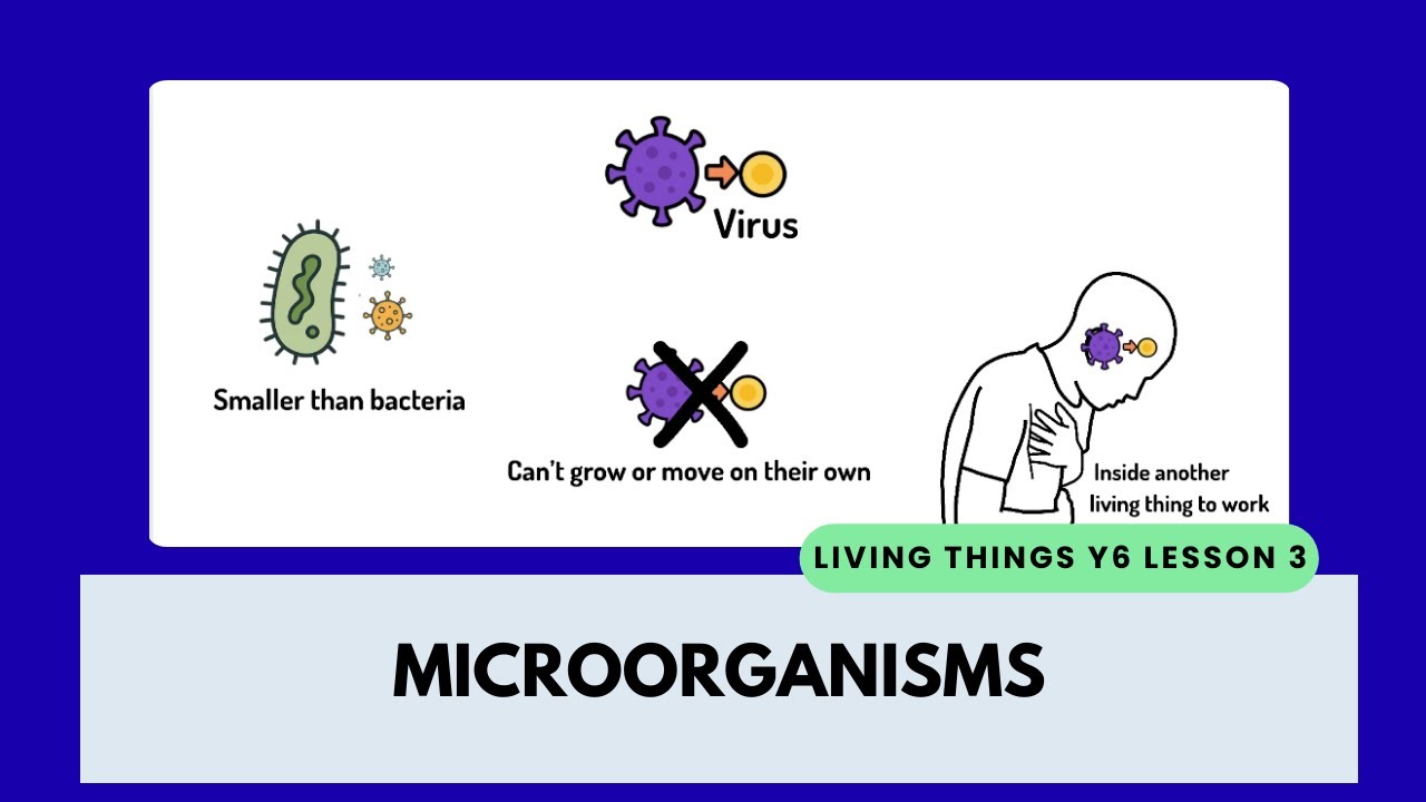 Microorganisms Made Easy | Year 6 Science - YouTube