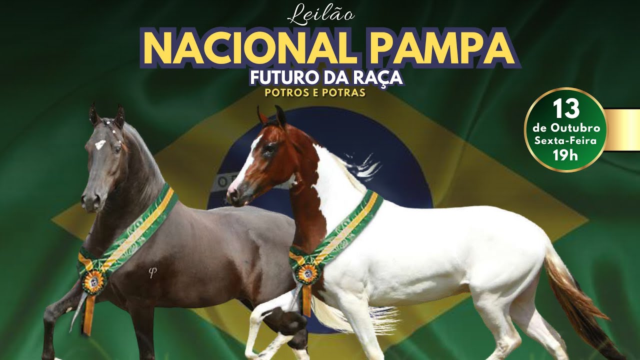 LEILÃO NACIONAL PAMPA FUTURO DA RAÇA - POTROS E POTRAS - YouTube