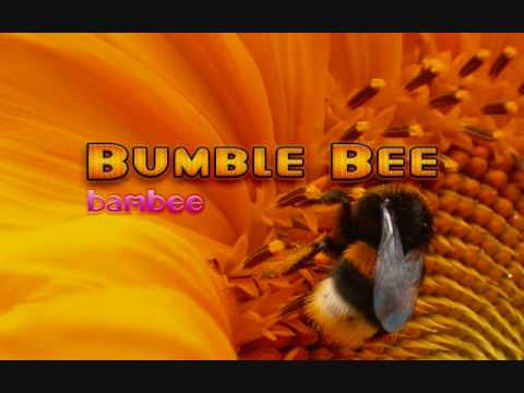 Bumblebee - Bambee - YouTube