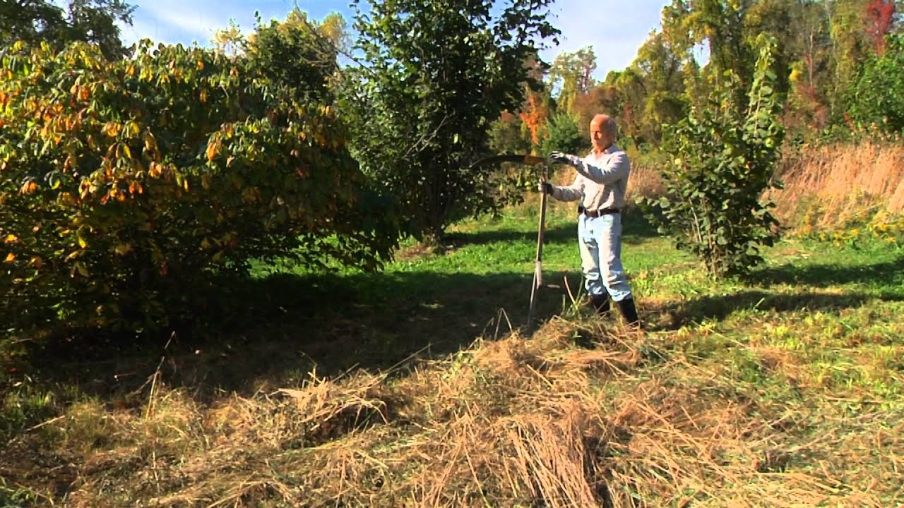 SWINGING IN SUMMER, WITH A SCYTHE - YouTube