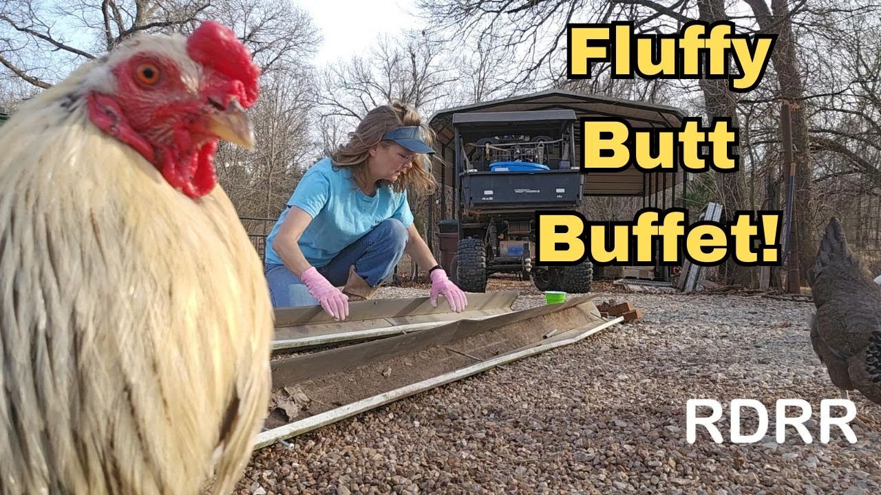 DIY Repurposed Gutters into Chicken Feeder - YouTube