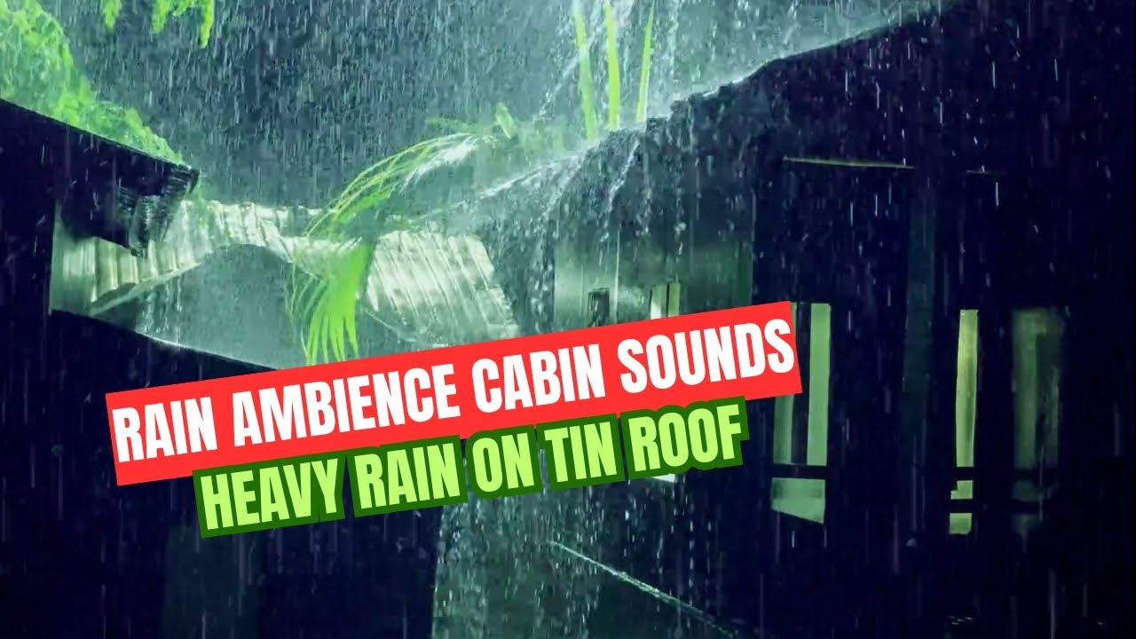 Rain Ambience Cabin Sounds | Heavy Rain on Tin Roof for Fast Sleep ...