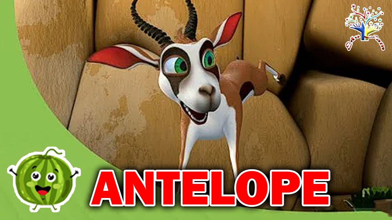 The Animal Sounds Song || Antelope || Kids Nursery Rhymes | Best ...