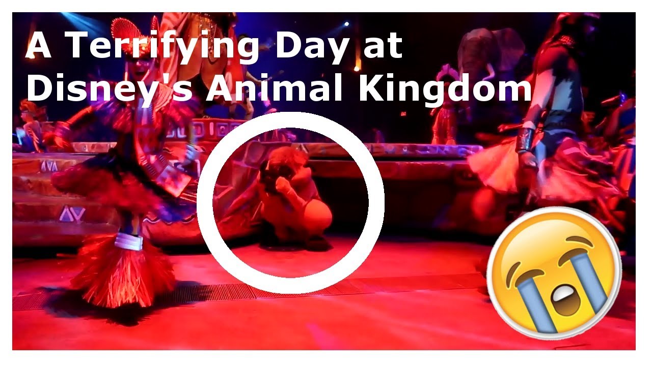 Timon... Are You Okay? - YouTube