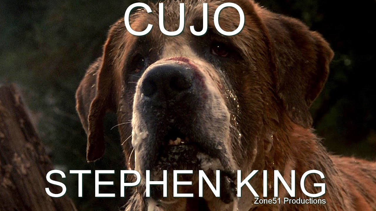 CUJO de STEPHEN KING - PARTIE 1/2 - ( LIVRE AUDIO EN FRANCAIS ) LU par ...
