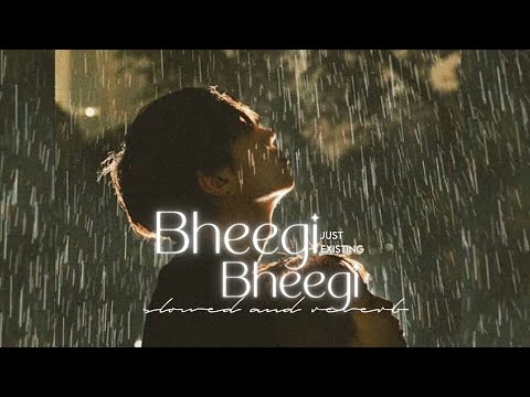 Bheegi Bheegi (slowed & reverb) | Gangster | James