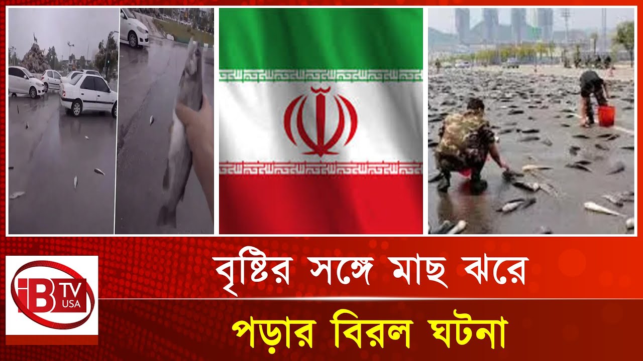 ইরানে বিরল মাছ বৃষ্টি! | Rare | Fish | Rain | Iran | Unexpected ...