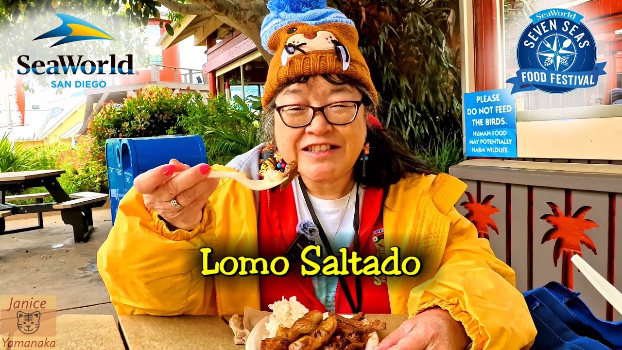 Lomo Saltado at the Peru Booth: 2025 SeaWorld San Diego Seven Seas Food ...