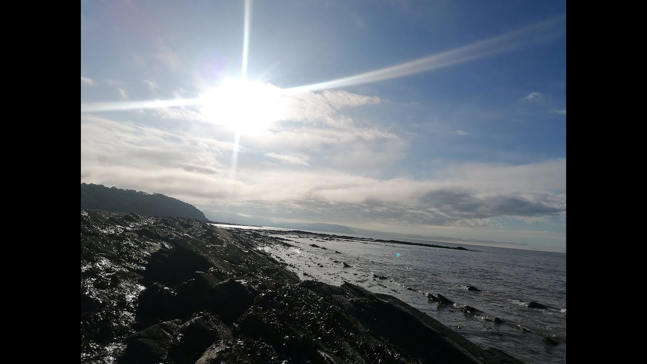 Reef Eels in the Bristol Channel, the Channel is about to come alive! # ...