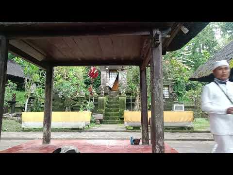 Vibrasi kesucian pura Batukaru. sembahyang diantar anjing Bagong.