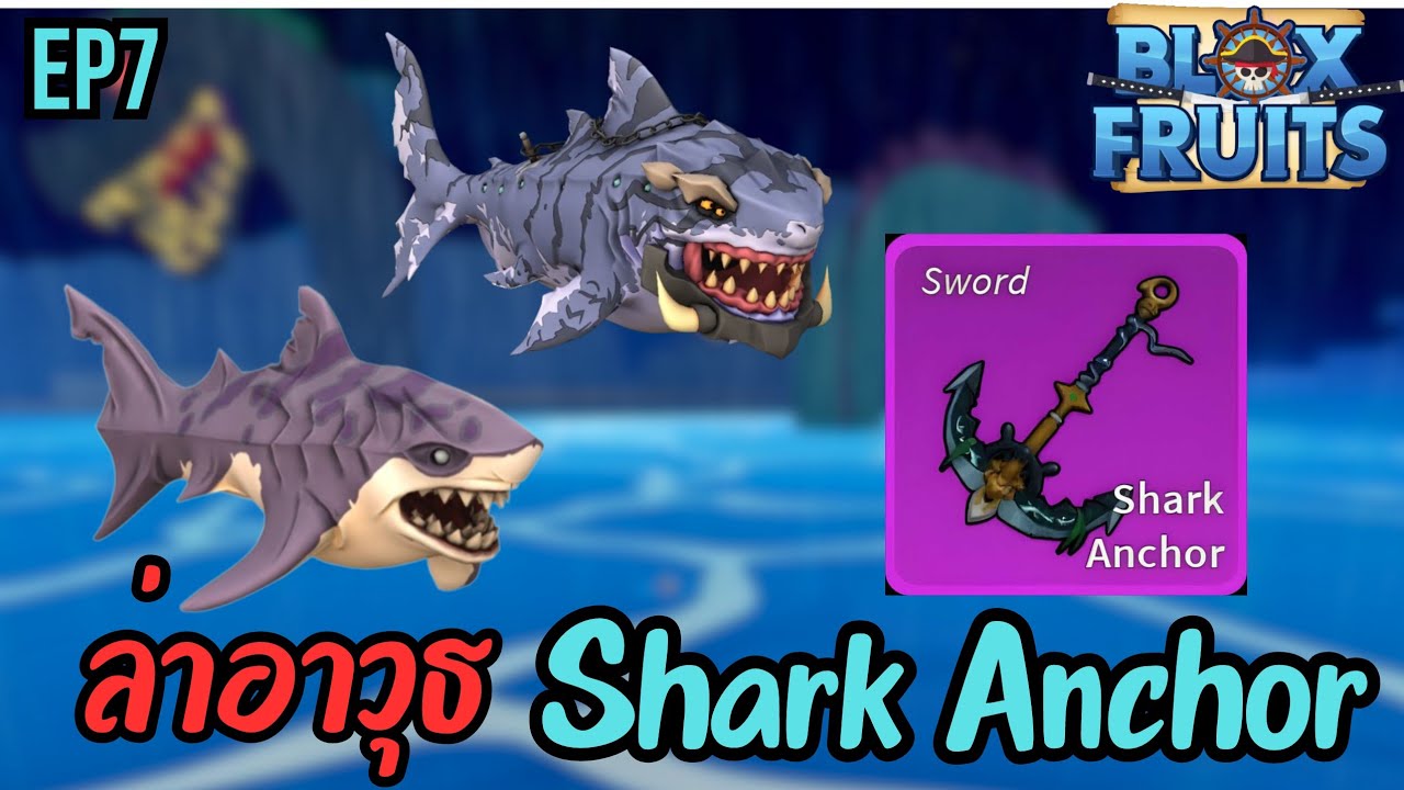 Roblox blox fruit ตามล่าอาวุธ Shark Anchor + เทคนิคตี Terror Shark ...