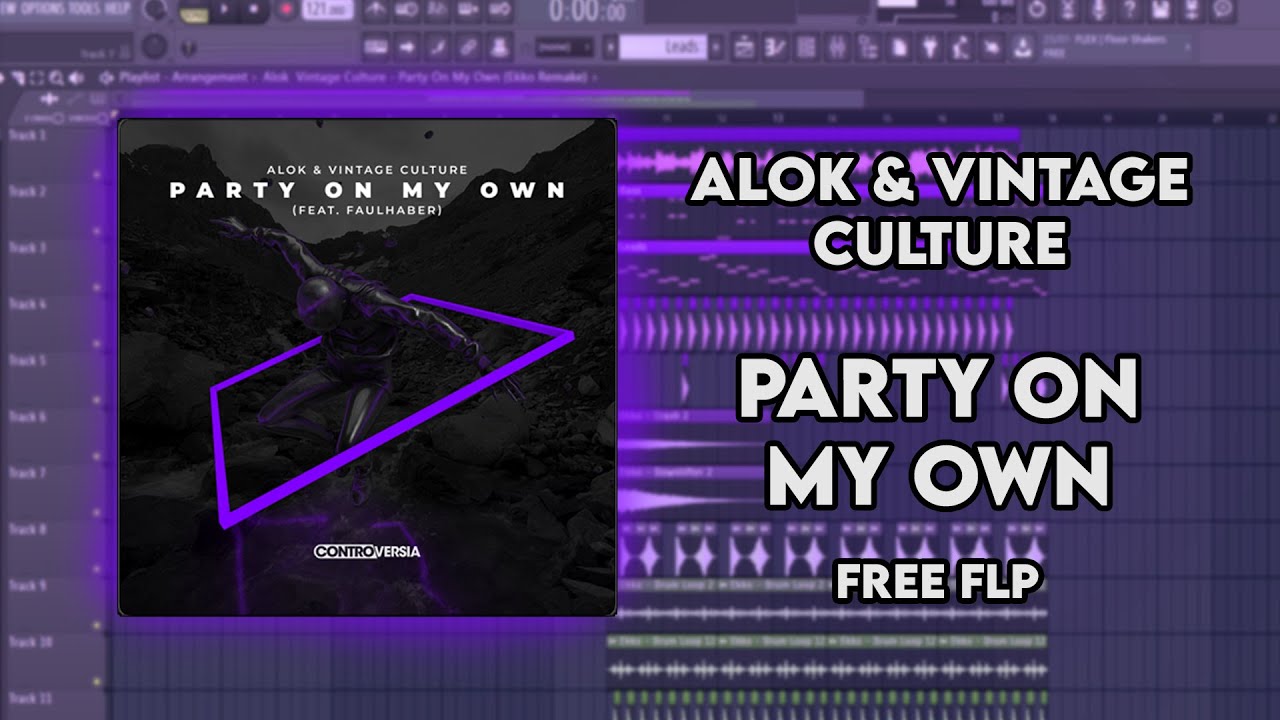 Alok & Vintage Culture - Party On My Own + Free FLP - YouTube