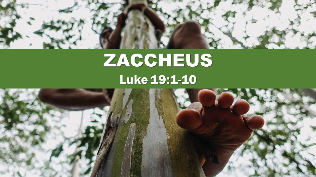 ZACCHEUS - YouTube