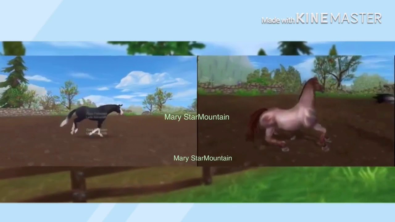 New VS old Aqh,sso spoiler for new horse, - YouTube