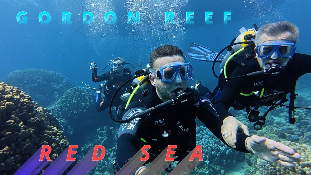 RED SEA-SHARM EL SHEİKH GORDON REEF SCUBA DİVİNG DJI ACTİON 5 PRO - YouTube
