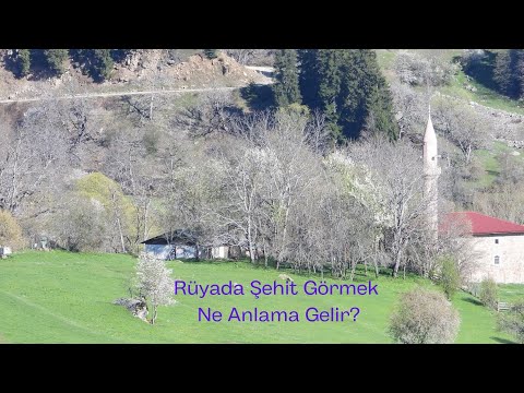 Rüyada Şehit Görmek Ne Anlama Gelir, Rüyada Şehit Görmek