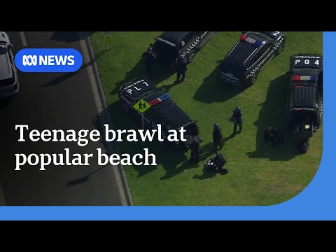Hundreds of teens start brawl at a beach in Melbourne’s southeast | ABC NEWS