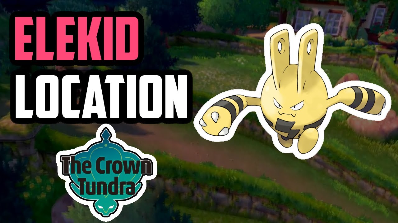 How to Catch Elekid - Pokemon Sword & Shield (DLC) - YouTube