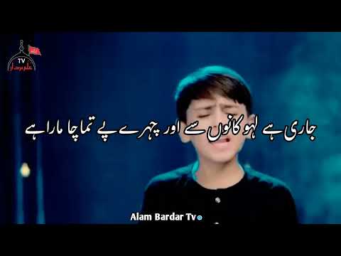 Sakina Zindan Ky Andhery Mein Noha Status | 13 Safar Noha Status | Shahadat Bibi Sakina Noha Status