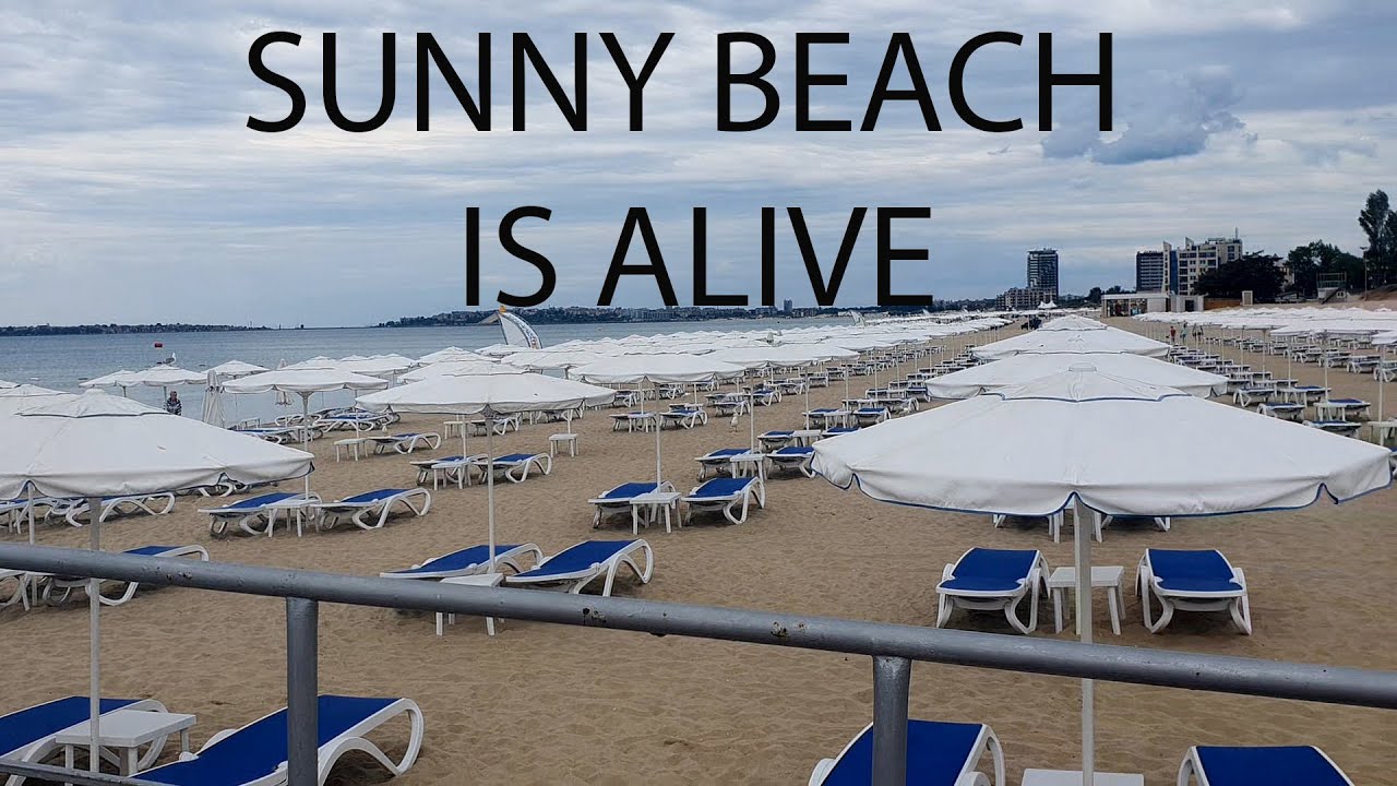 Sunny Beach is coming back to life - YouTube