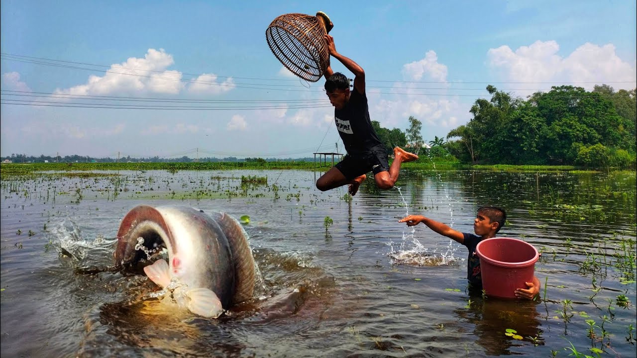 Unique Fishing Skill With Village Bill🖤Amazing Fishing With Bamboo ...