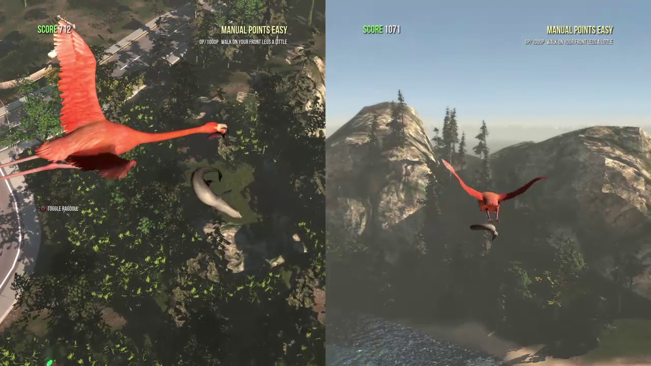 Flamingo puts disabled ring dolphin on mountain *NOT CLICKBAIT* - YouTube