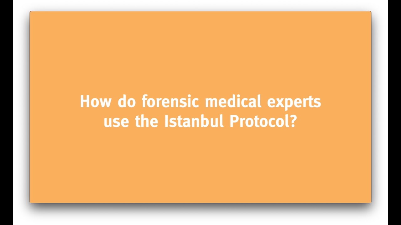 Istanbul Protocol: How Do Forensic Medical Experts Use the Istanbul ...