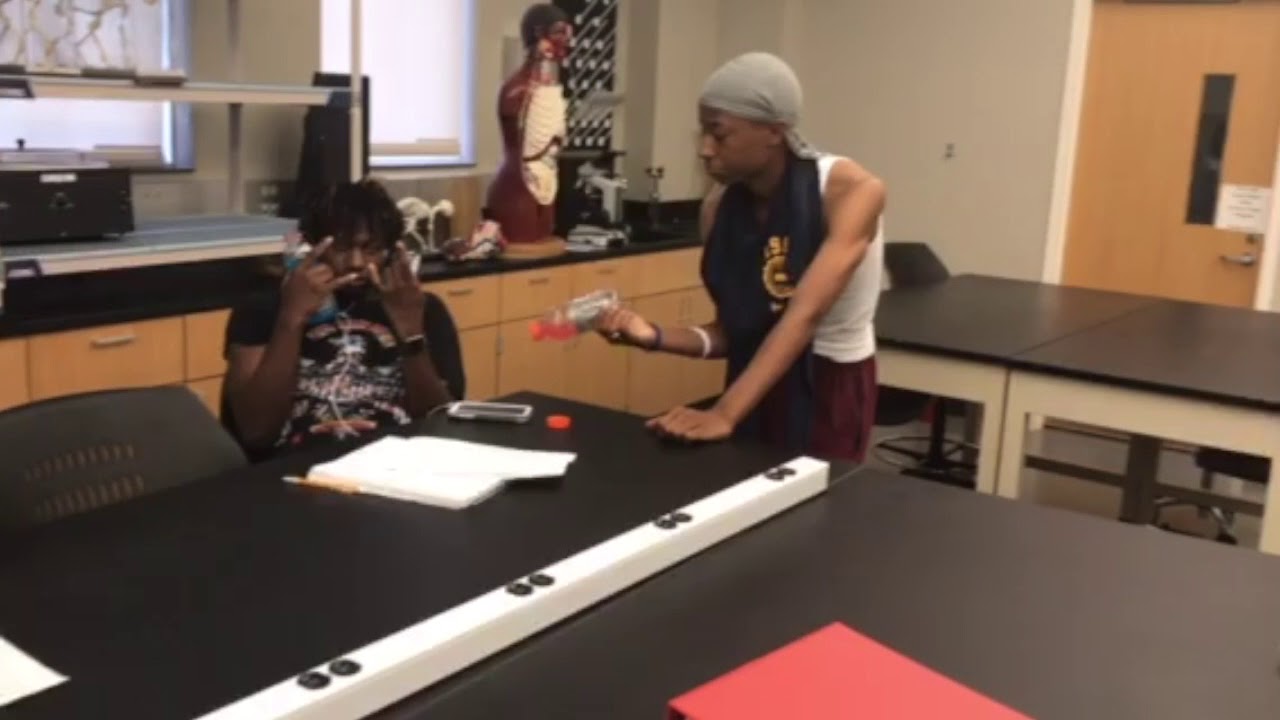 Zoology Lab Video - YouTube