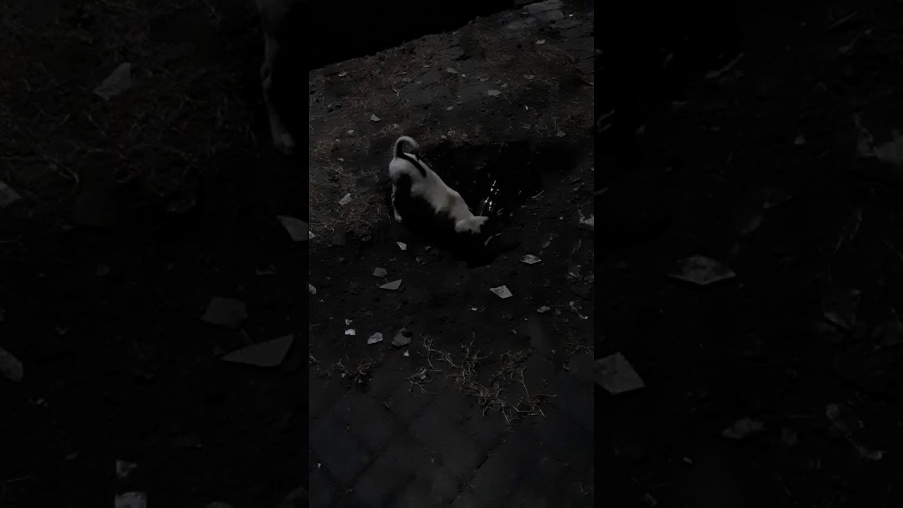 learn to bury - YouTube