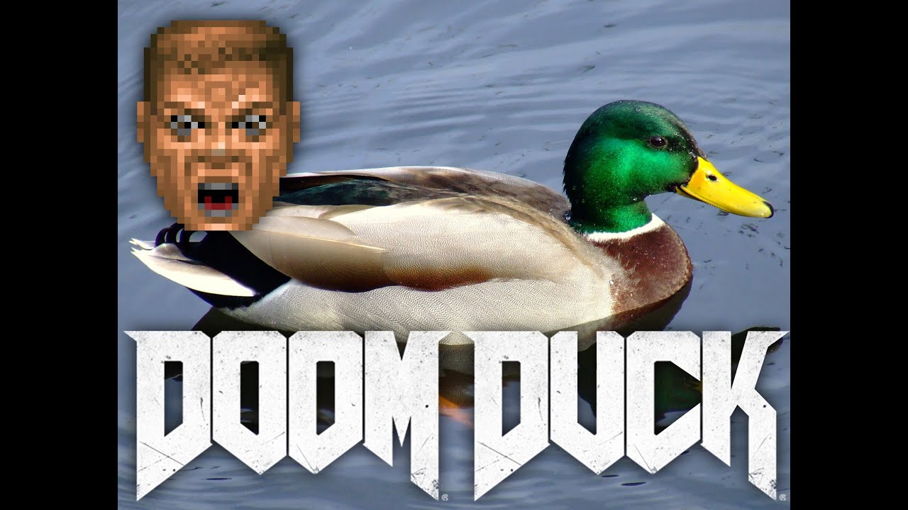 DOOM DUCK! - YouTube