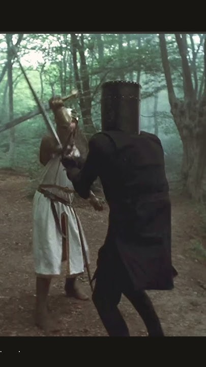 Monty Python Meets DnD! #dnd #dndcomedy #funny #holygrail - YouTube