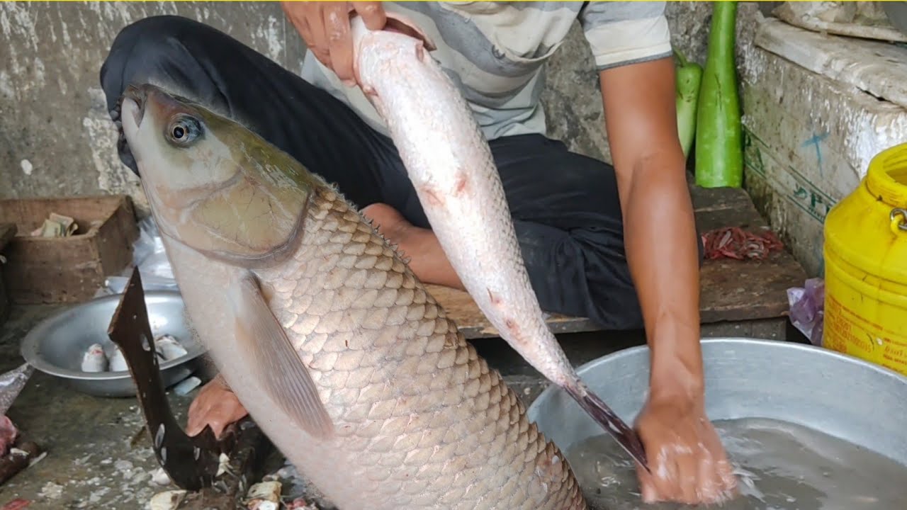 Amazing rohu fish fast cropped & fast cutting by the fastest fish ...
